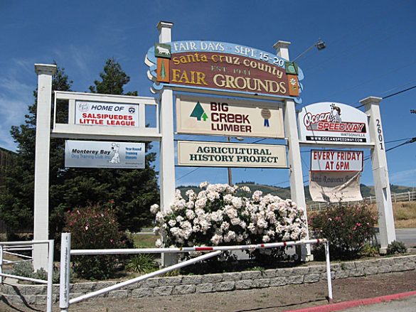 Watonsville High School Student Wins SC Fair Poster Contest – TPG ...