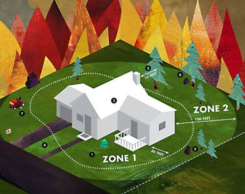 Fire Season: Create Defensible Space Around Your Home – TPG Online Daily