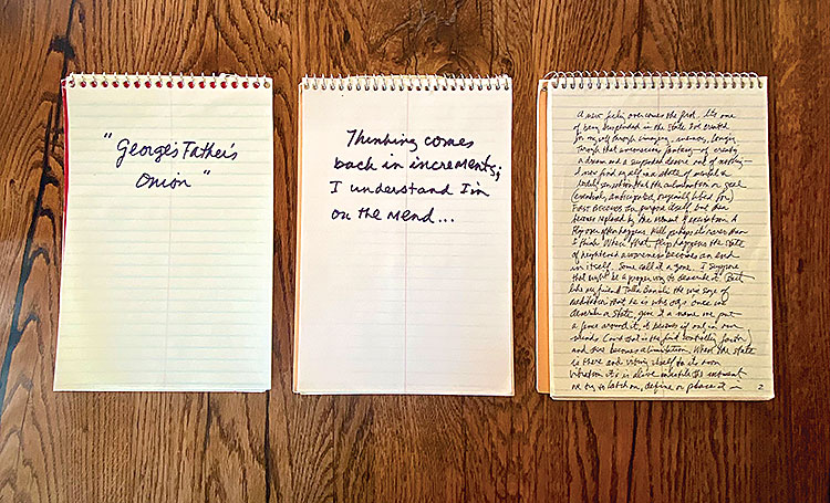 The Genius of “Steno Pad Madness” – TPG Online Daily